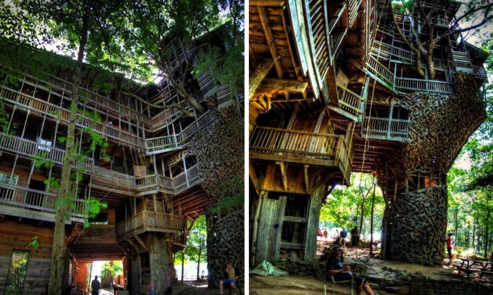 The World's Largest Tree House Took A Man 14 Years To Build, But Wait Until You See Inside ...